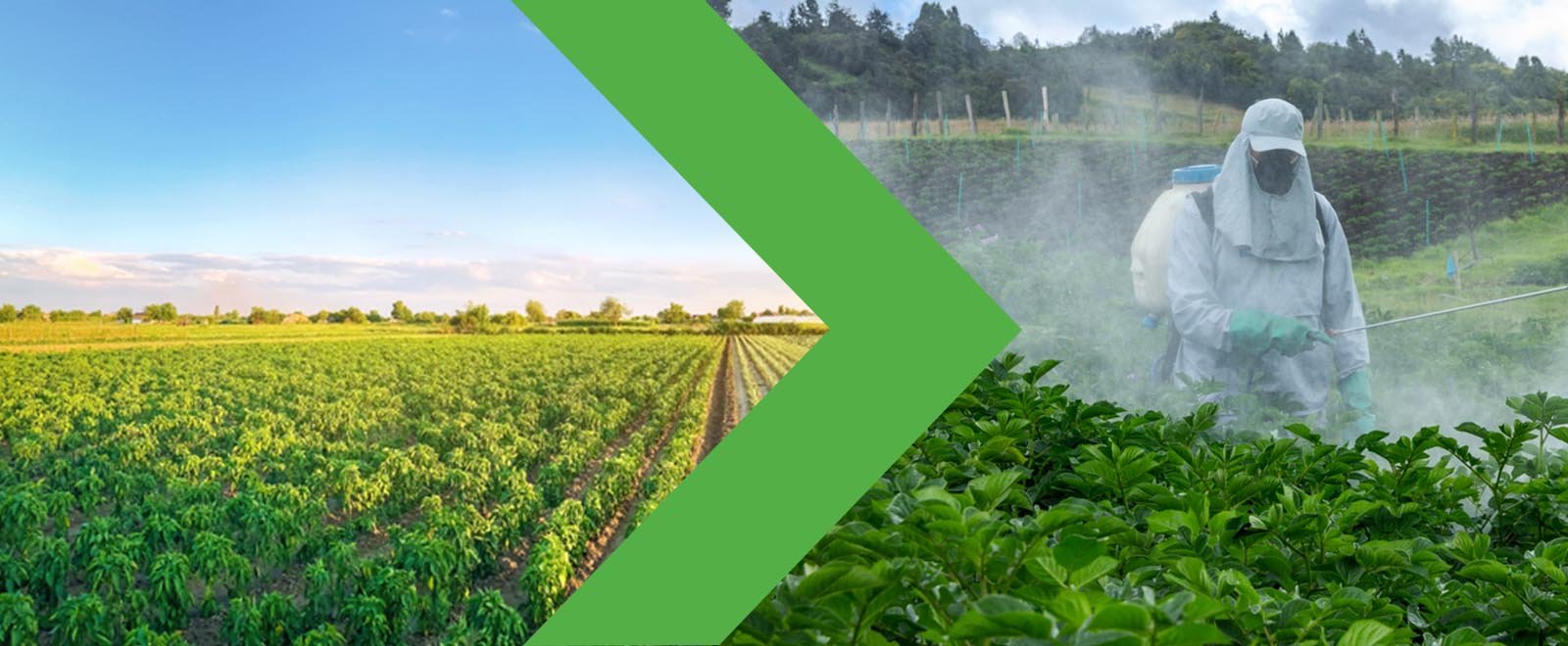 Nature Agro Biotech – India's fastest growing agri product company